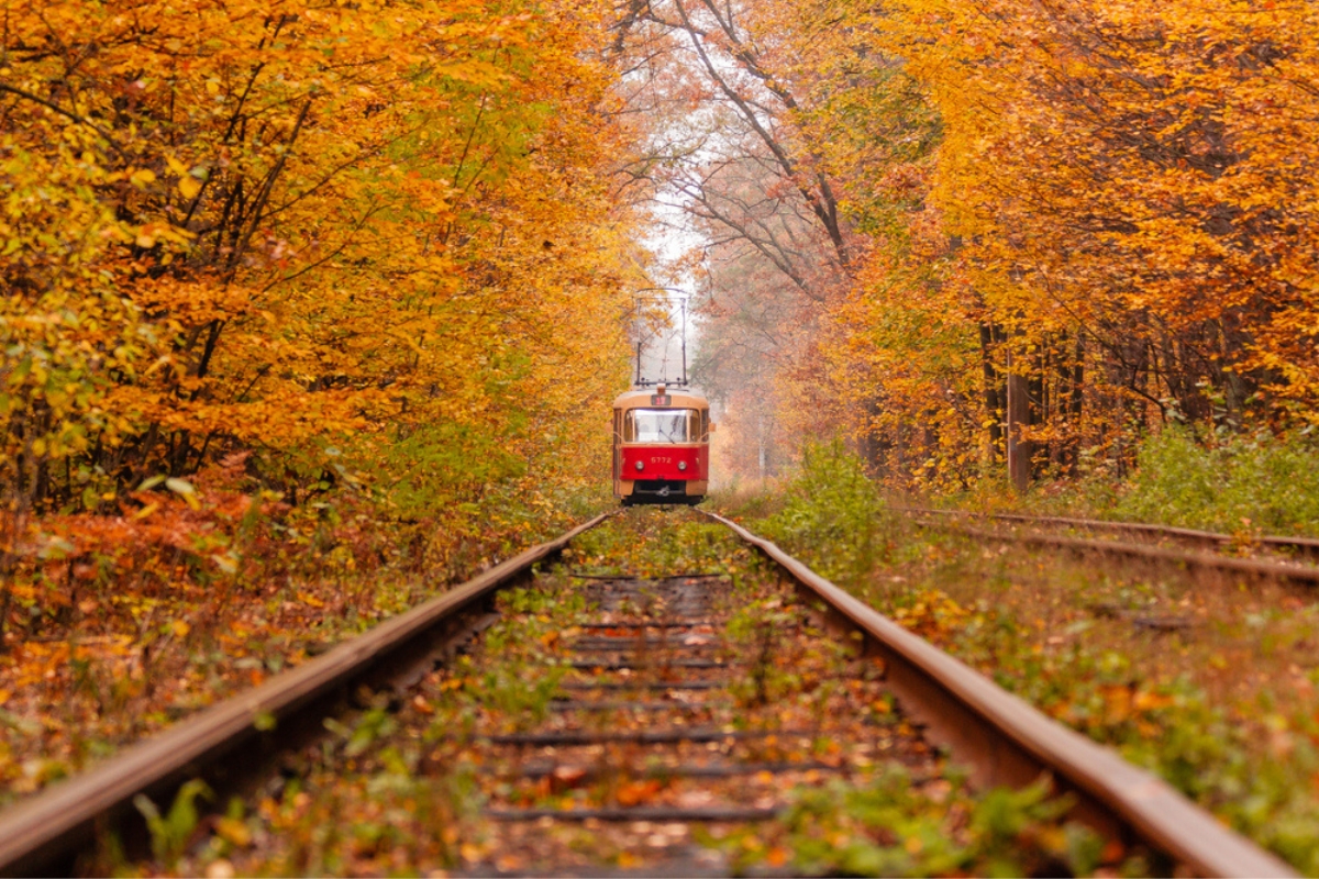 Centovalli Express Foliage Train: a scenic route from Switzerland to ...